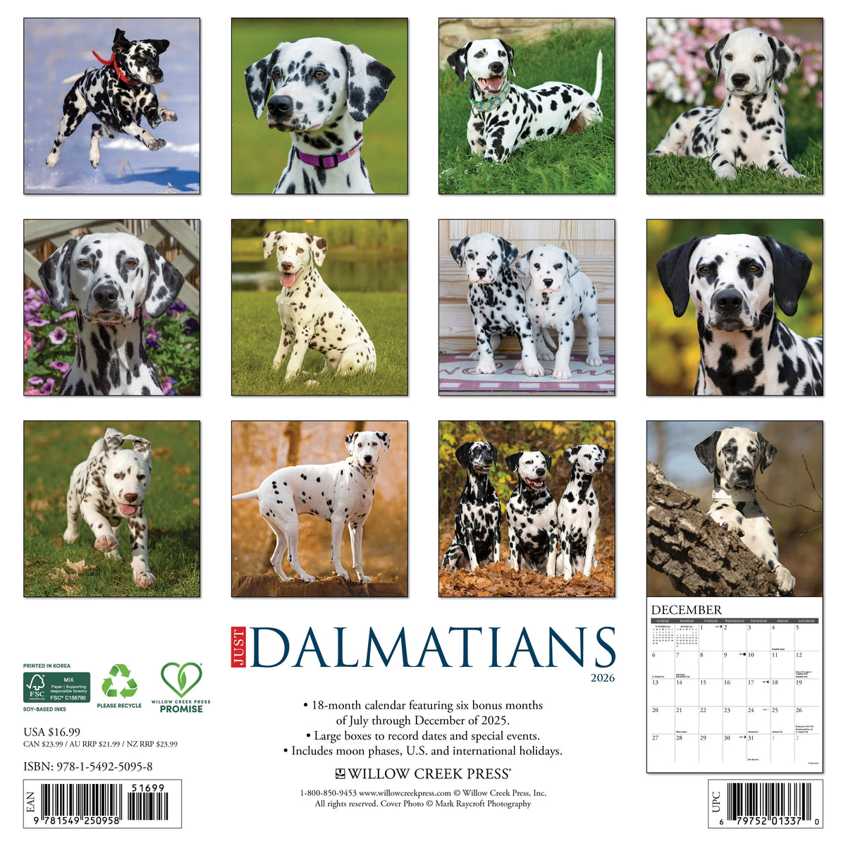 2026 DALMATIANS WALL CALENDAR – Jerrol's