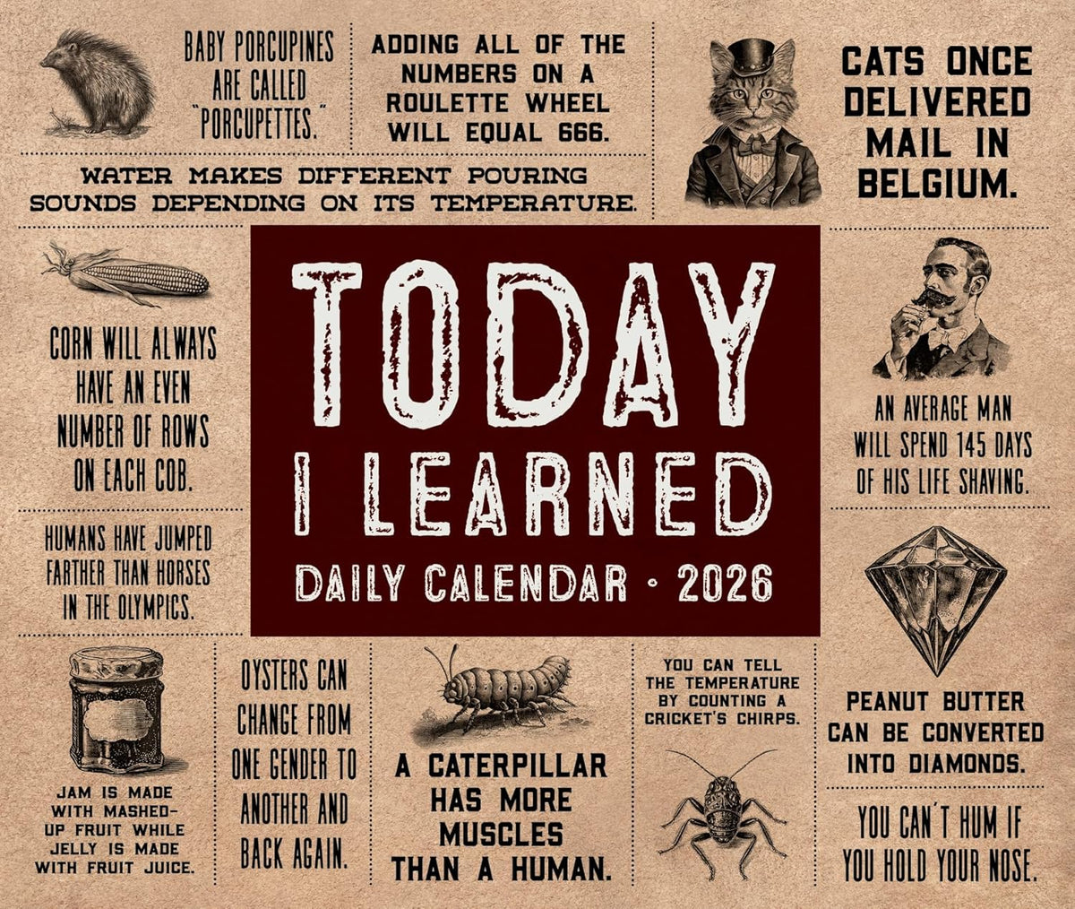 2026 TODAY I LEARNED (TIL) DAILY BOXED CALENDAR – Jerrol's